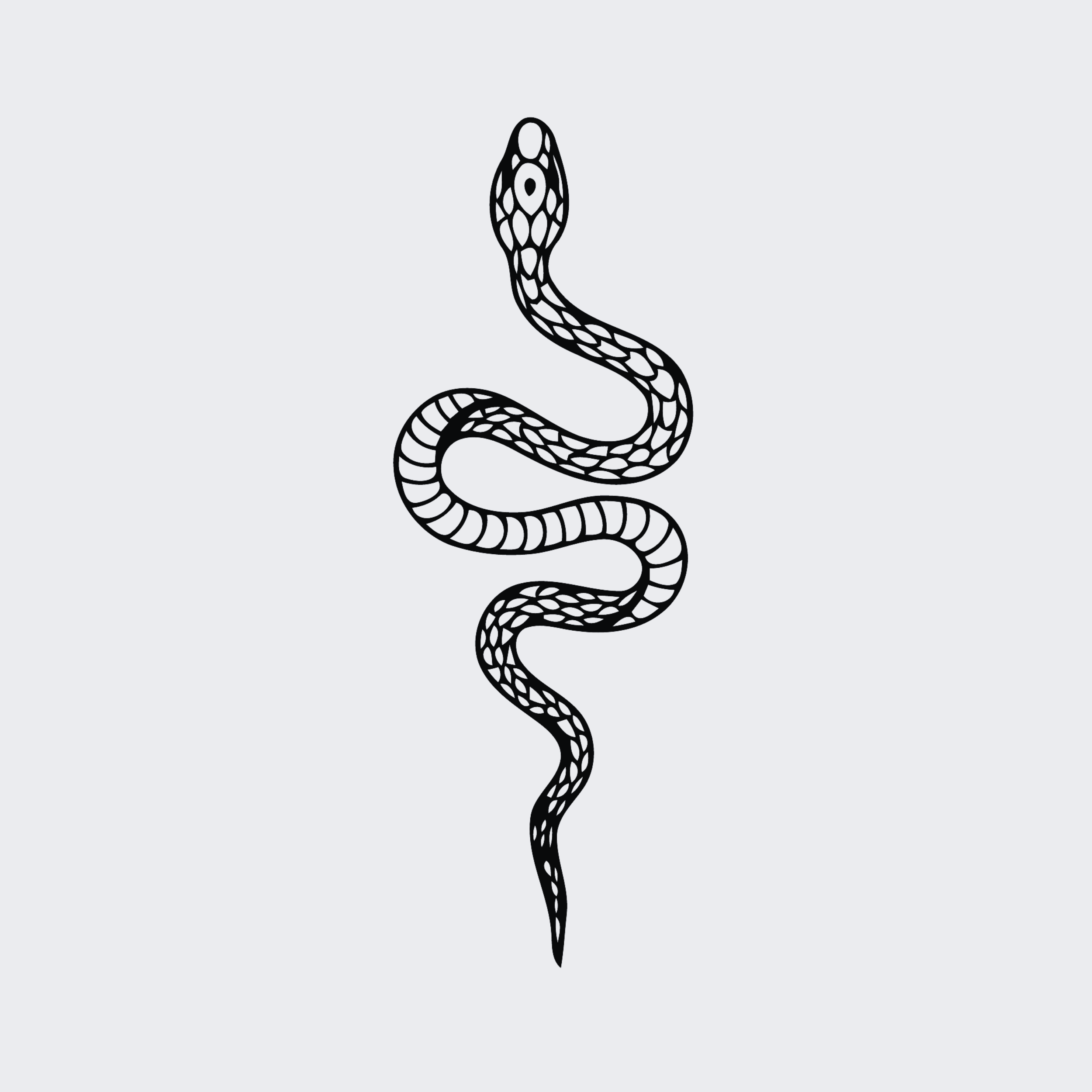 snake curve – ThePrimeInk