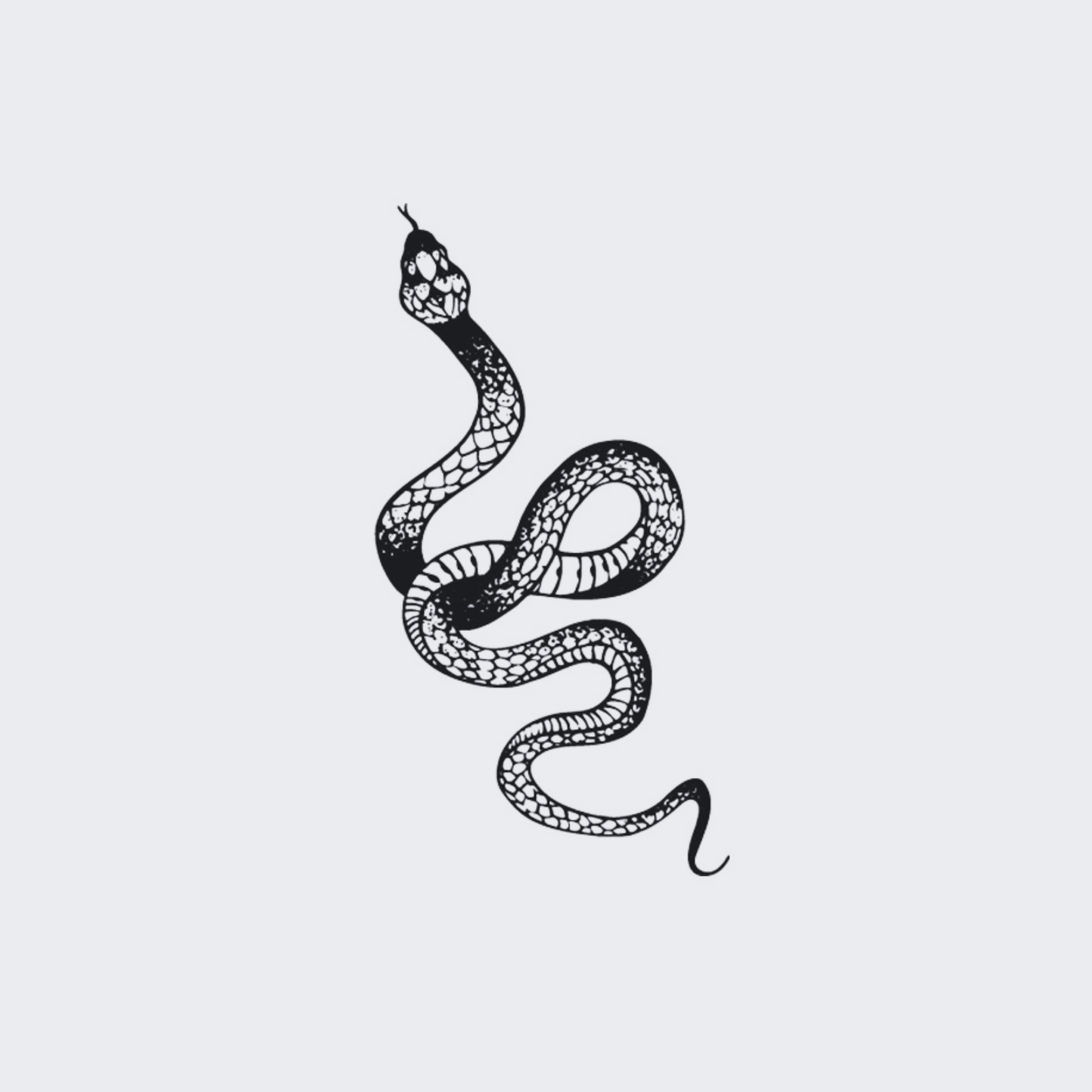 Sinuous Snake – ThePrimeInk