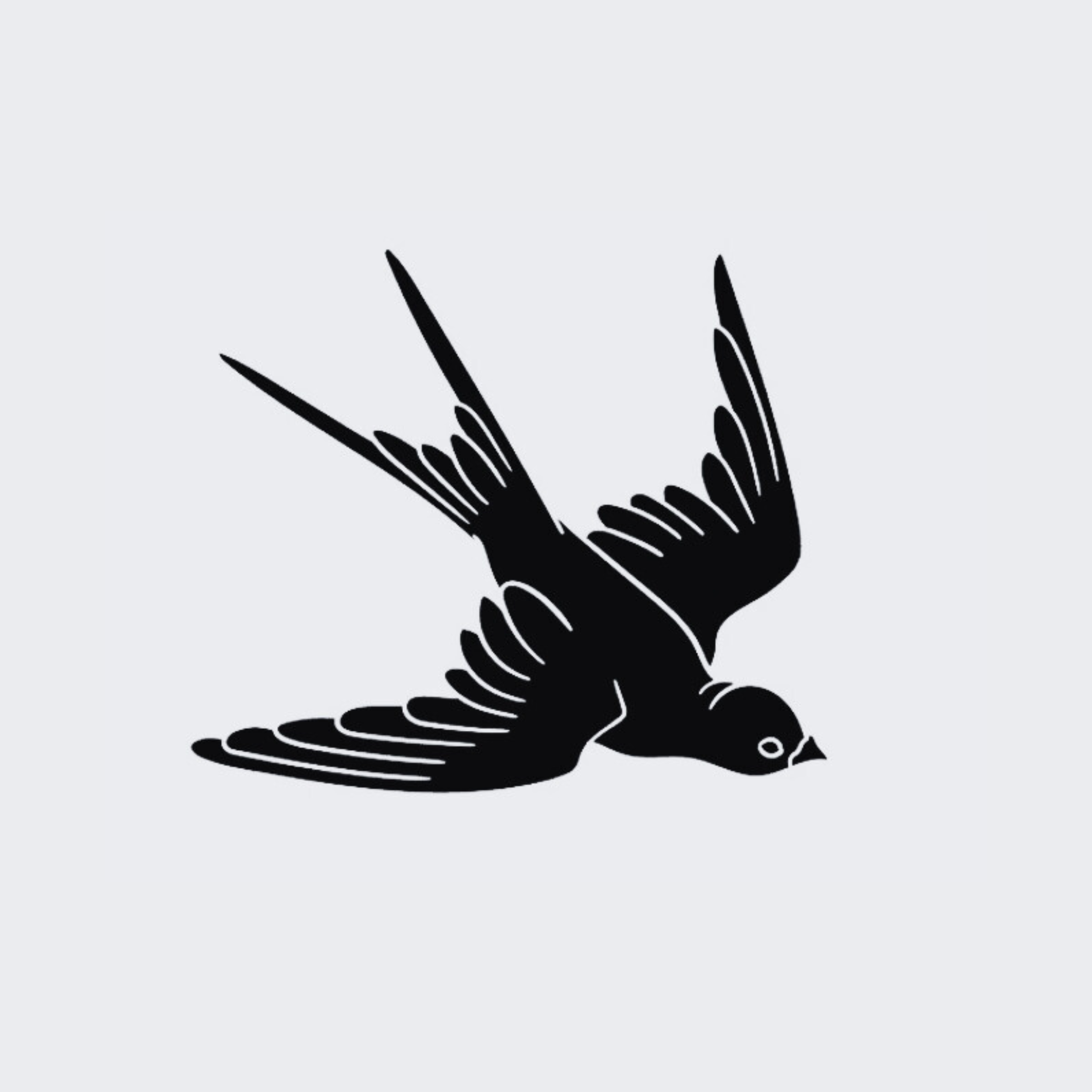 Swallow Bird – ThePrimeInk