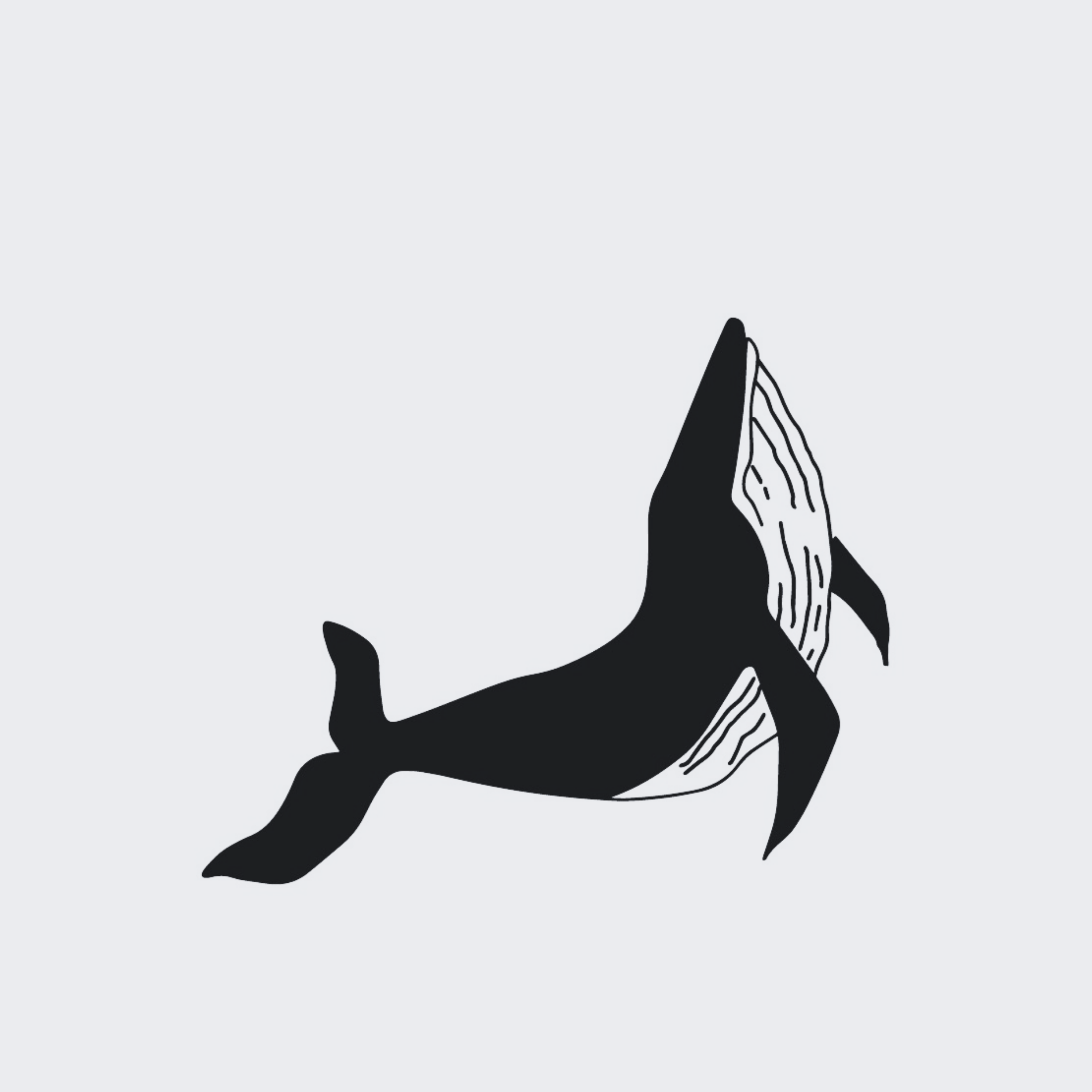 Whale – ThePrimeInk